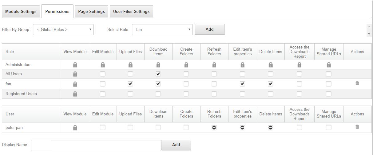 DNN User Files - Documentation